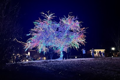 The Magic Tree @ Cherry Hill - Holiday Light Display in Columbia ...